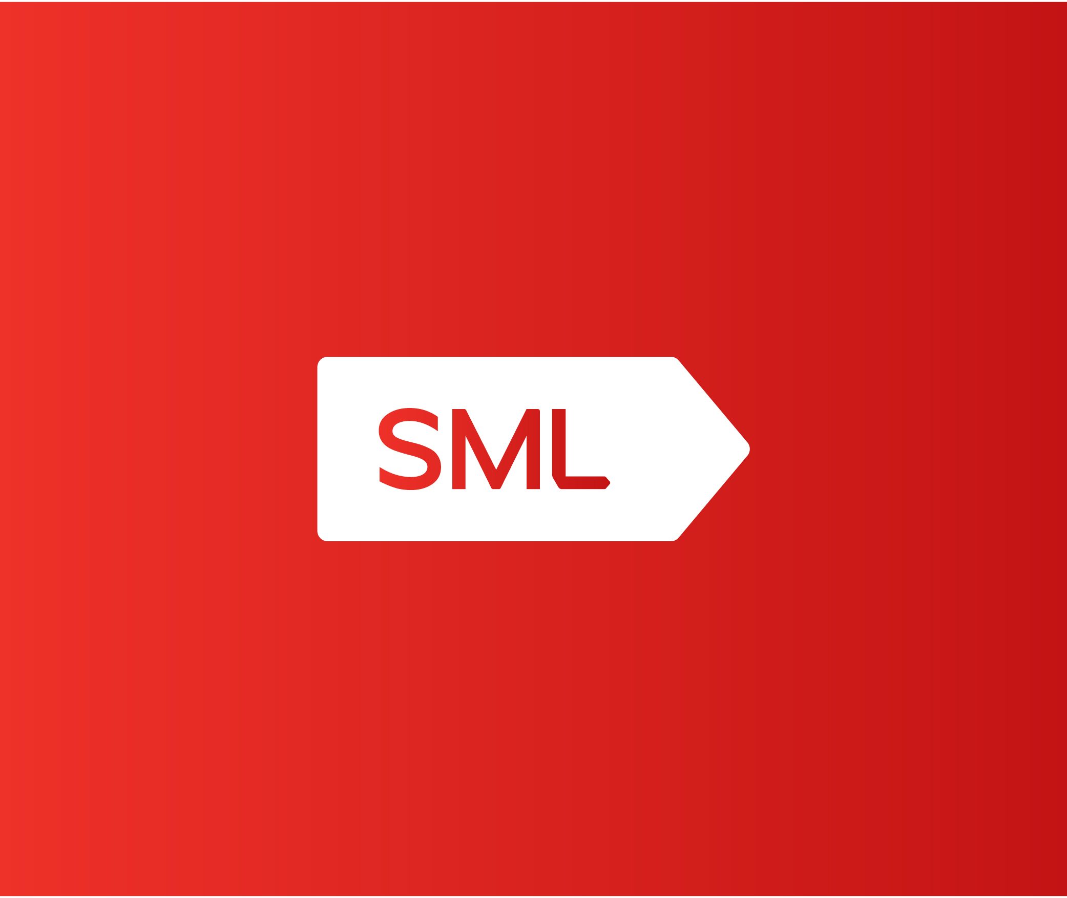 引领数字ID未来的领导团队 |SML 公司